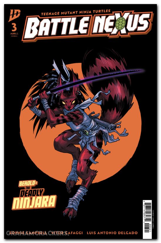 Teenage Mutant Ninja Turtles Battle Nexus #3 (2025) cover b campbell ...